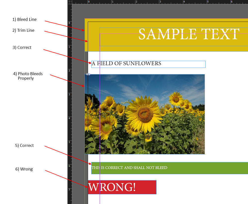 How To Set Up Bleeds In Adobe Illustrator AD Vantage Marketing